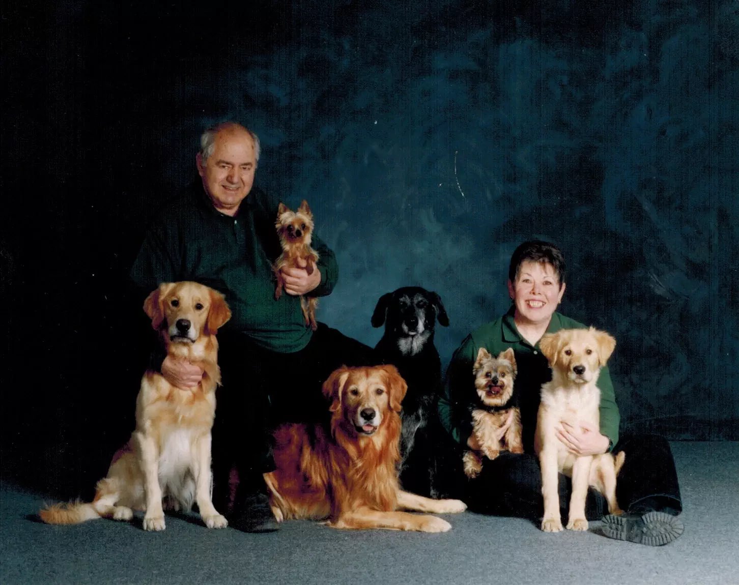 Nancy’s Dogs – Performance Plus